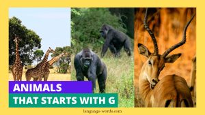 From Giraffes to Gorillas: 350+ Incredible Animals That Start With G