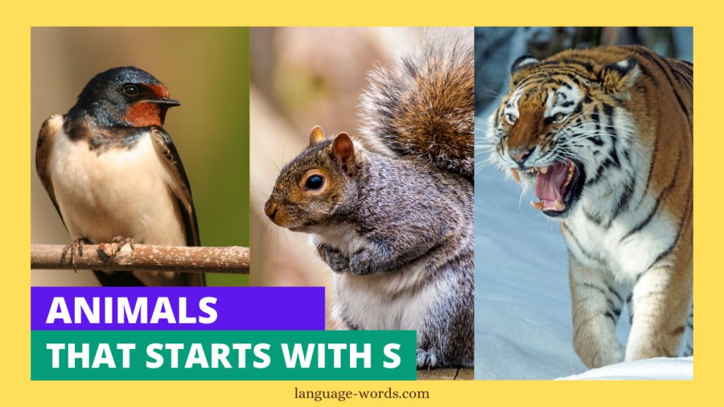 From Serpents to Sharks: A Compilation of 535+ Animals That Start With S