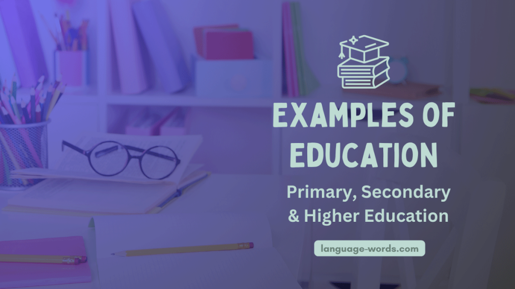 Examples of Education: Primary, Secondary & Higher Education