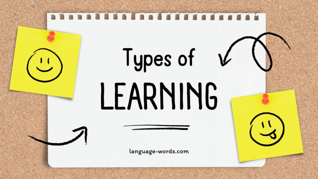 Exploring the Different Types of Learning