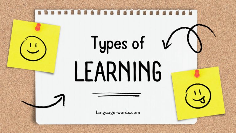 Exploring the Different Types of Learning